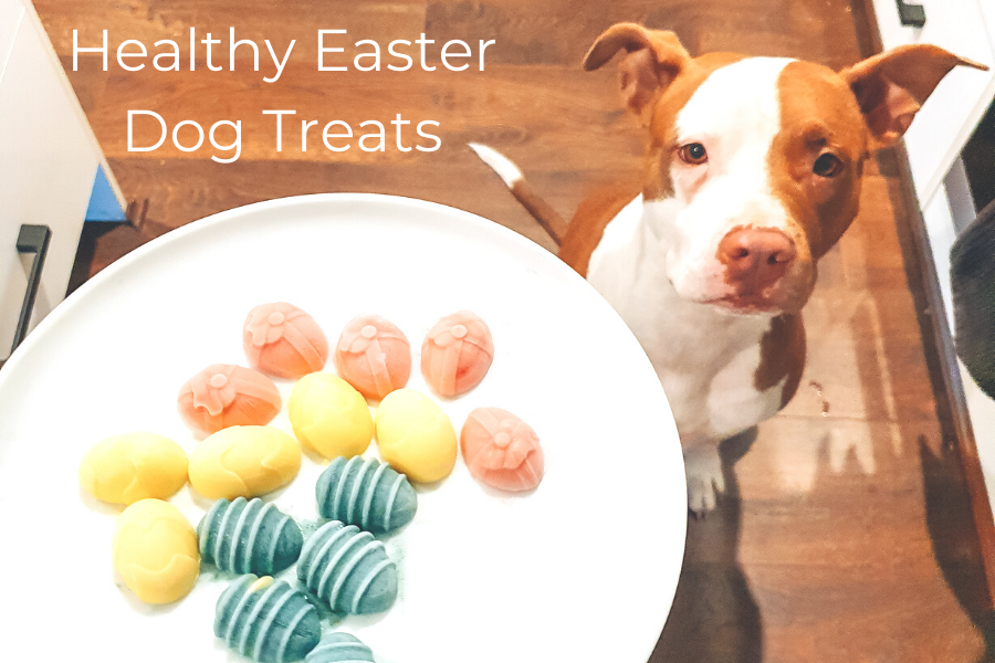 Healthy ‘No Bake’ Easter Dog Treats – Urban Tails Pet Boutique