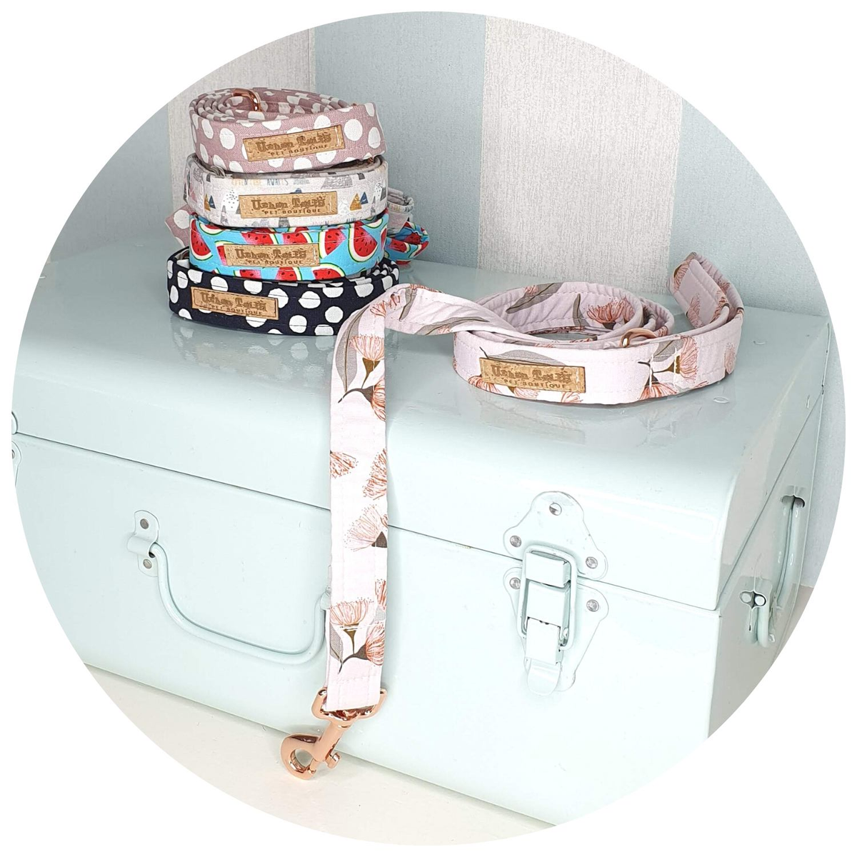 Leashes | Urban Tails Pet Boutique